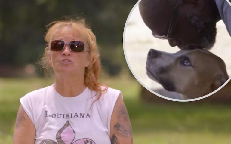 Tia Torres thanks fans for raising thousands for dogs on Pit Bulls and ...
