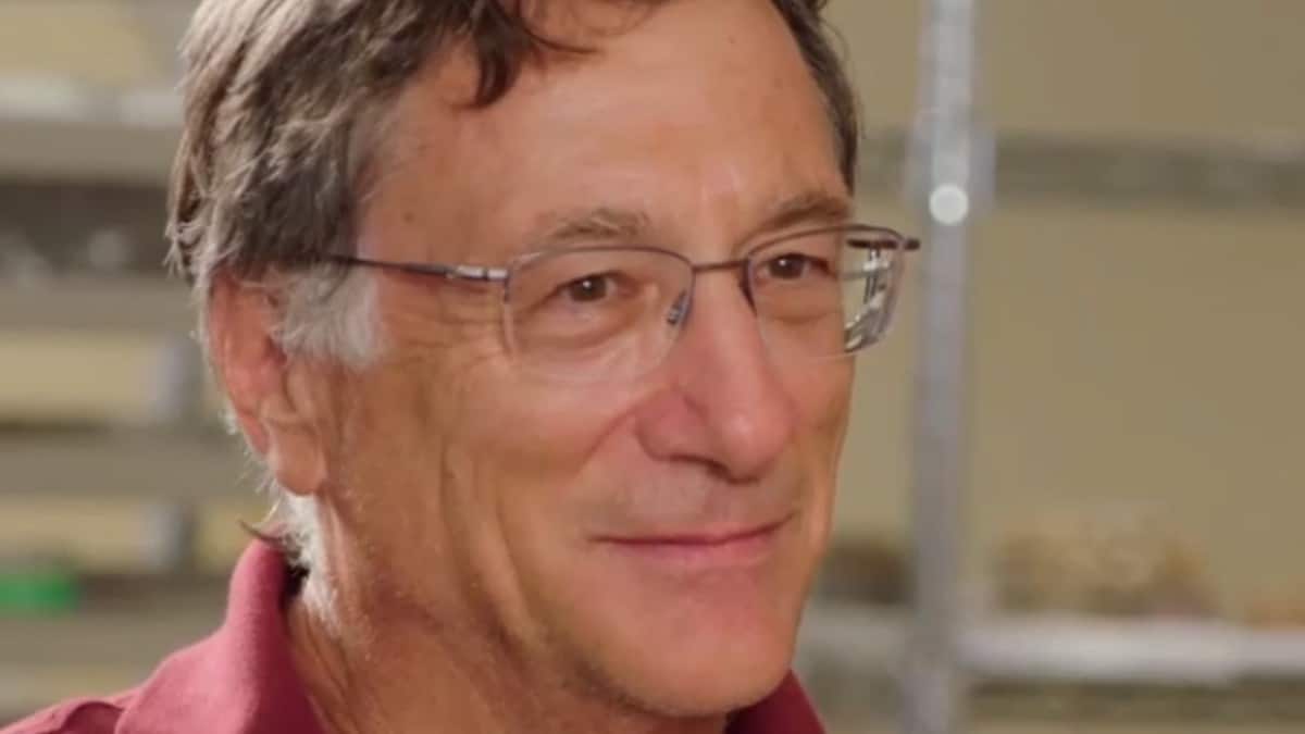 The Curse of Oak Island: The team begins mapping Aladdin's Cave below ...