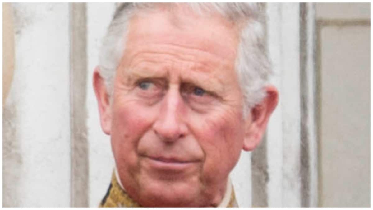 Royal fans are calling King Charles' new portrait 'hideous' and 'grim'